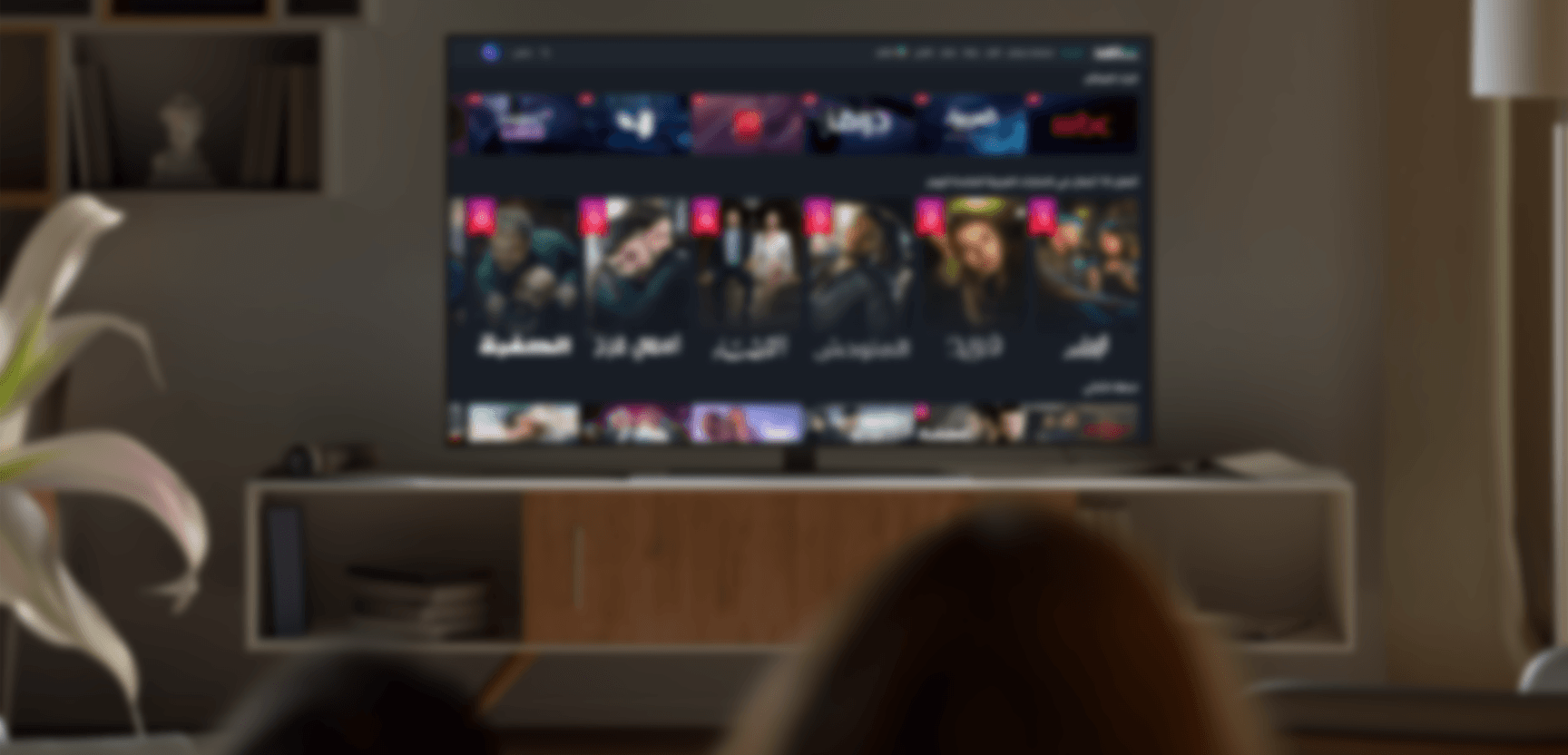 Investment Highlights